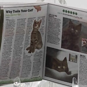 1 Mini Veterinarian PET DOG Magazine - 1/12 & 1/6 Scale 18 Printed ...