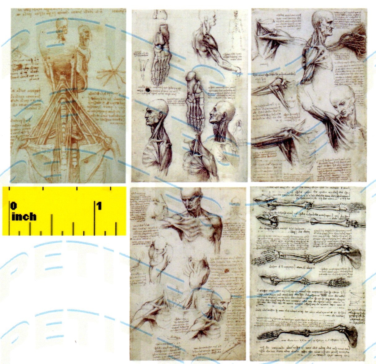 Miniature Doctor Physician Medical Medieval Picture Prints - Dollhouse ...