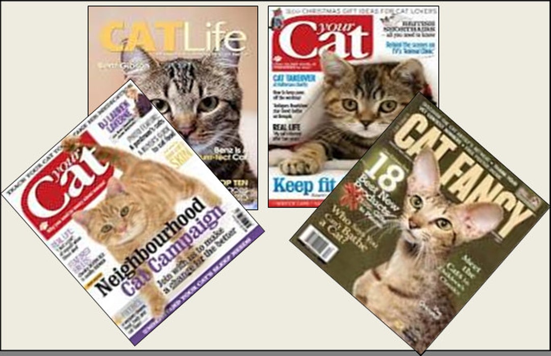 4 Miniature 'CAT' Magazines - Dollhouse 1:6 1/12th 1/24th 1/48th Scales ...