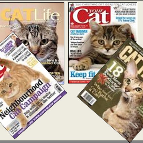 4 Miniature 'CAT' Magazines Dollhouse 1:6 1/12th - Etsy