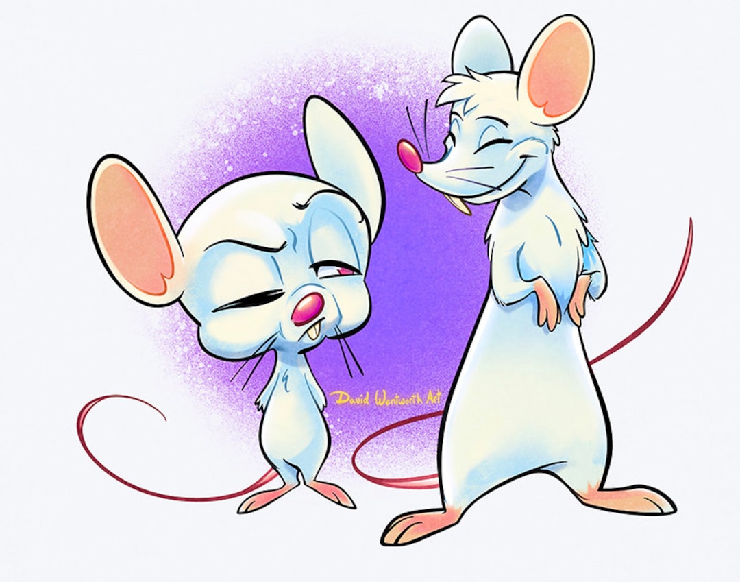 Buy Pinky and the Brain Animaniacs Fanart Art Print Online in India - Etsy