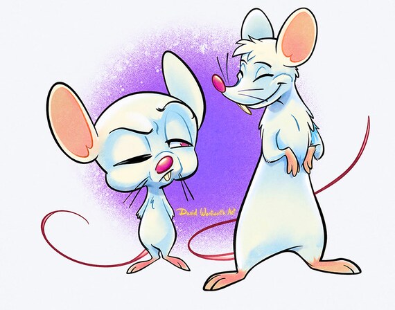 Pinky and the Brain Animaniacs Fanart Art Print - Etsy India
