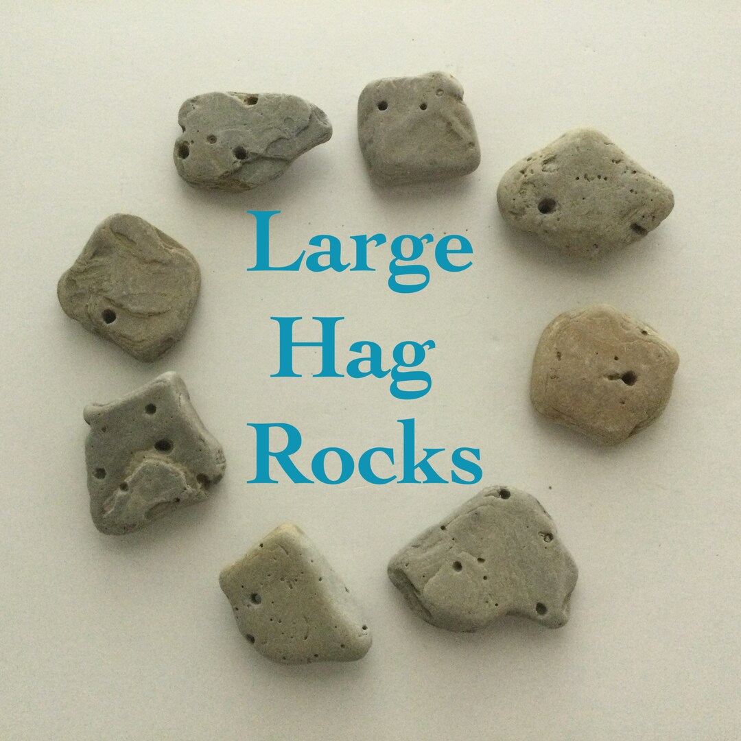 Collection of 8 Large, Rough Lake Michigan Hag Rocks or Holey Stones - Etsy