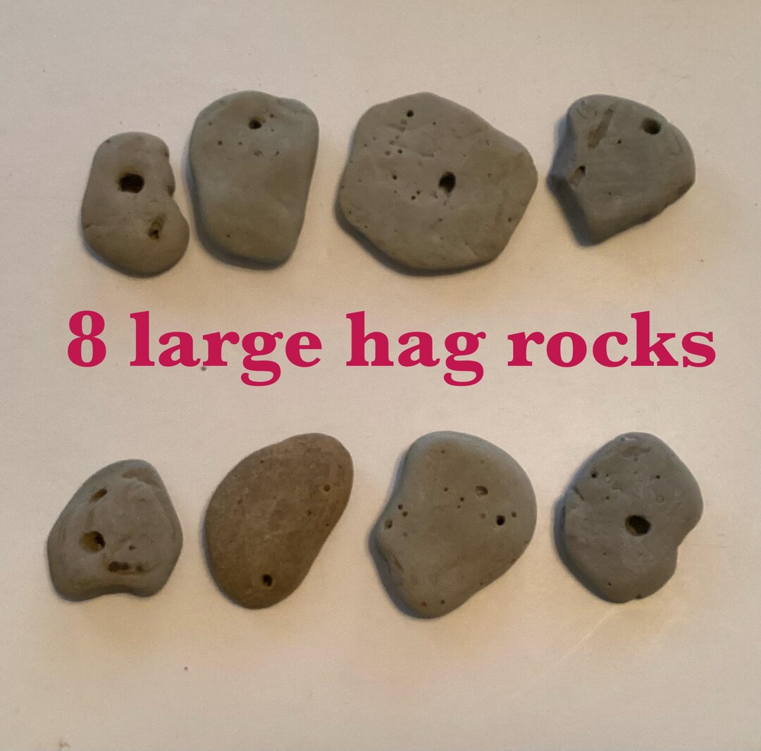 Set of 8 Large Lake Michigan Hag Rocks - Holey Stones - - Etsy