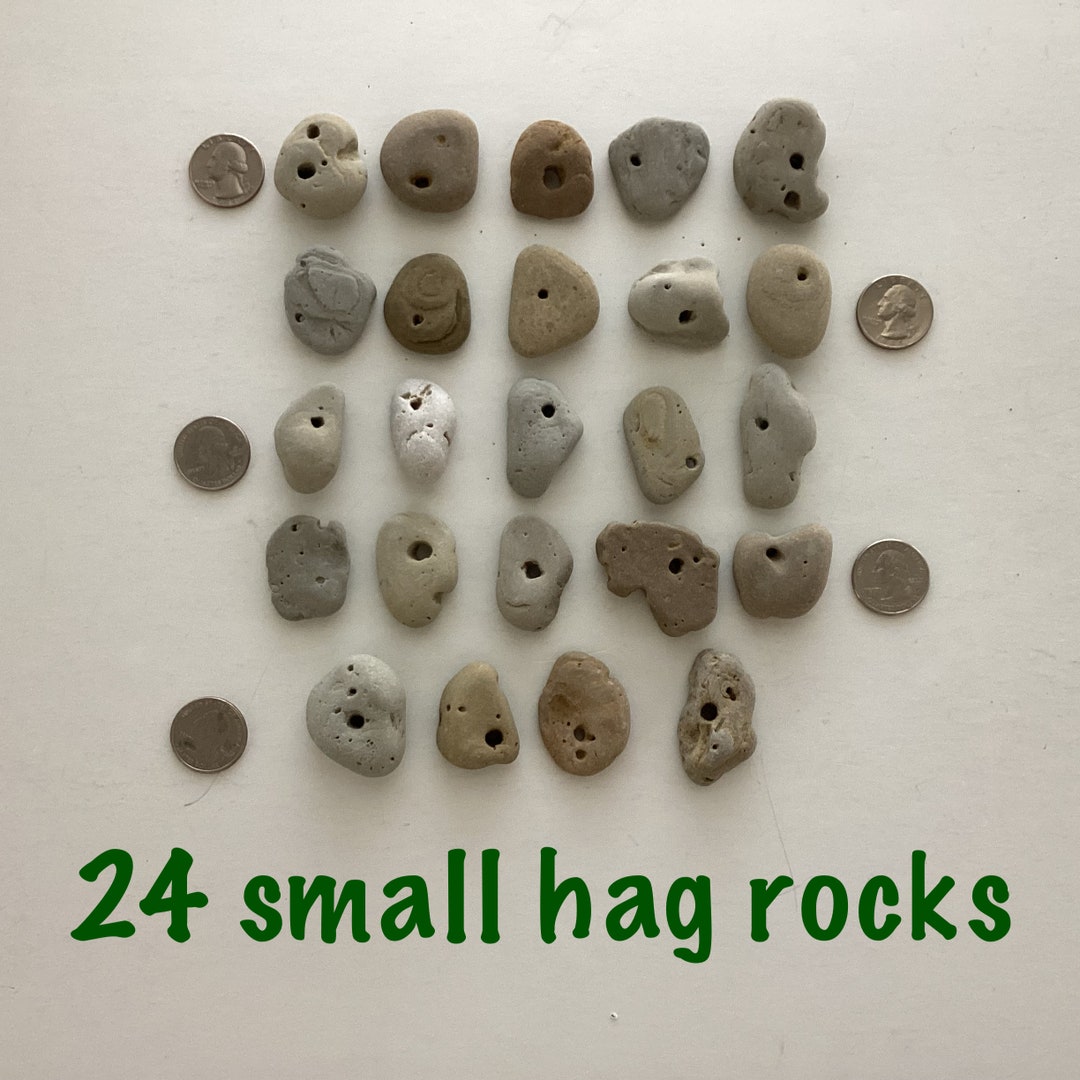 Set of 24 Small Lake Michigan Hag Rocks Holey Stones - Etsy