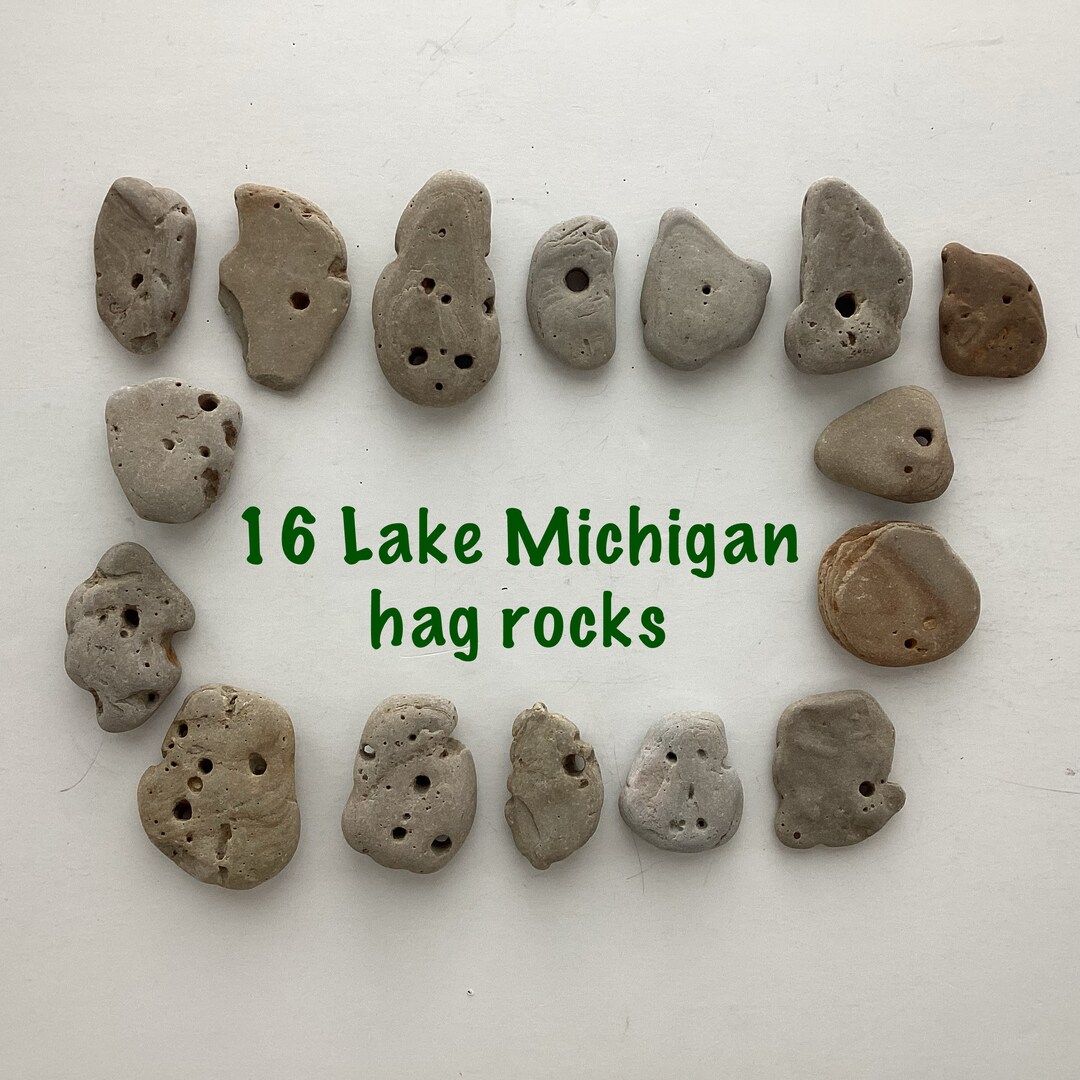 Collection of 16 Lake Michigan Small Hag Rocks or Holey Stones - Etsy