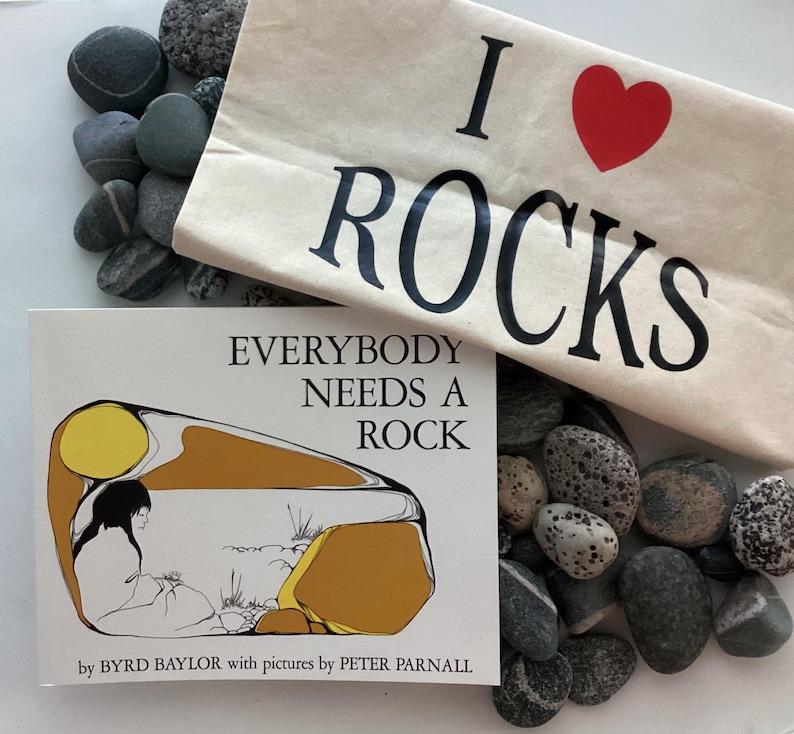 Educational Interactive Rock Activity Kit ~ Learning Project - Etsy