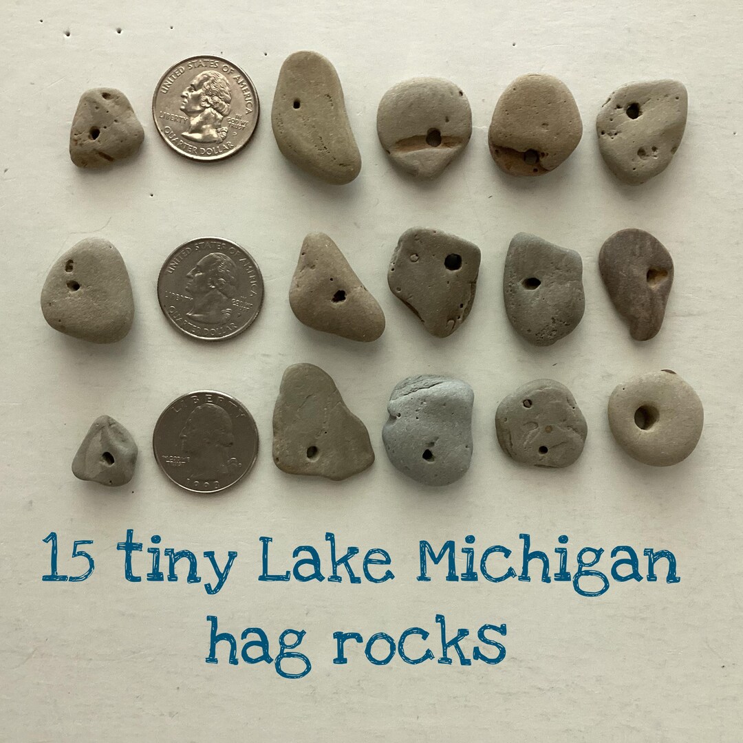 Collection of 15 Very Small Lake Michigan Small Hag Rocks or Holey ...
