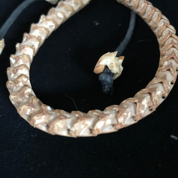 Snake Vertebrae Choker//stained Snake Bone Necklace//adjust, 54% OFF