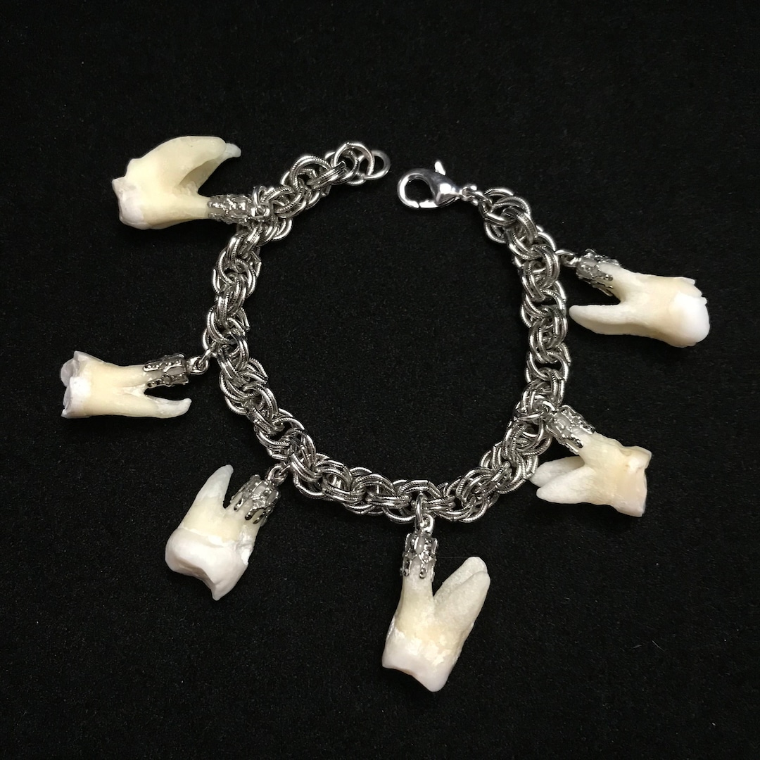 Real Human Tooth Bracelet // 7" Vintage Antiqued Silver Chain//six ...
