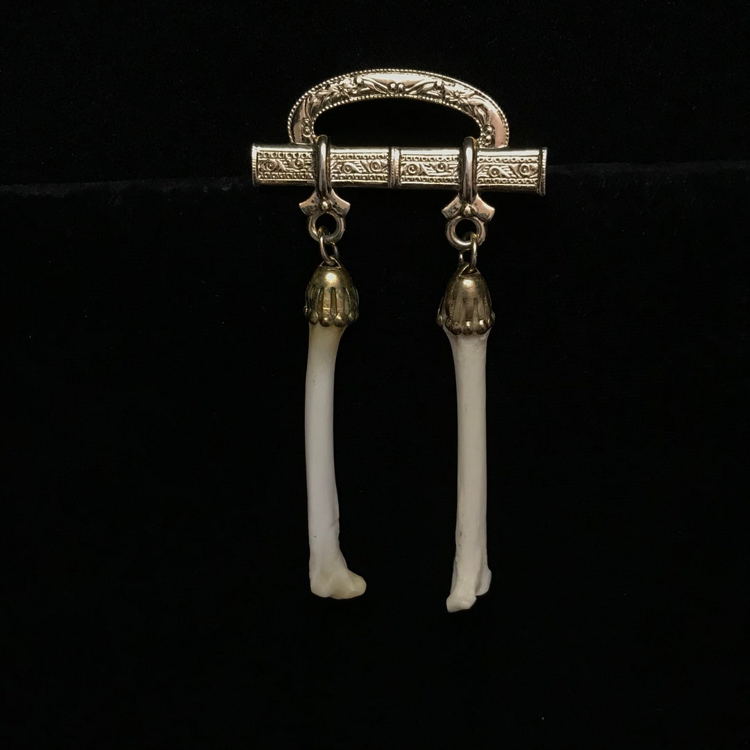 Bobcat Bone,vintage Gold Brooch//real Bone Brooch//taxidermy Jewelry ...