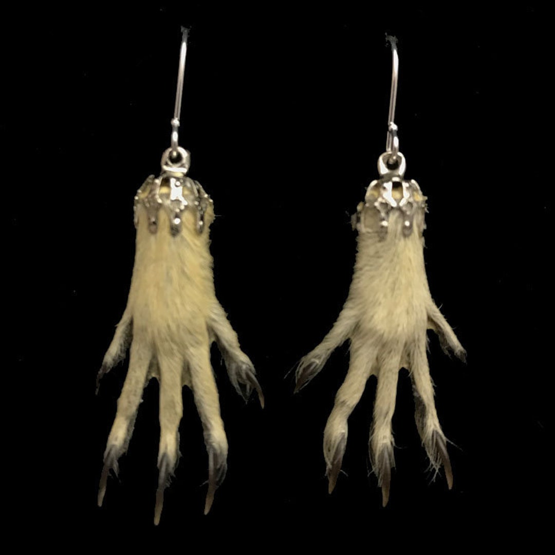 Squirrel Foot Earrings, Taxidermy Jewelry - Etsy