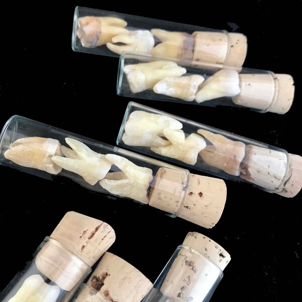 Human Oddities - Etsy