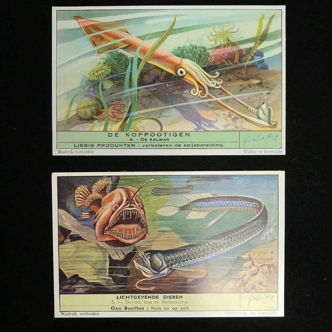 PAIR C. 1865 Vintage Advertising Cards//antique Ad Cards//victorian ...