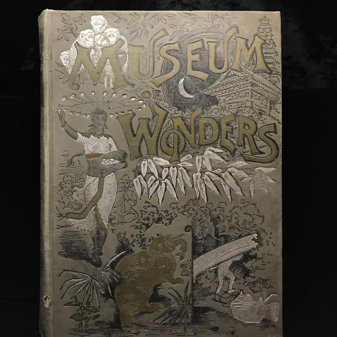 Vintage Natural History Book Museum of Wonders//antique Natural World ...