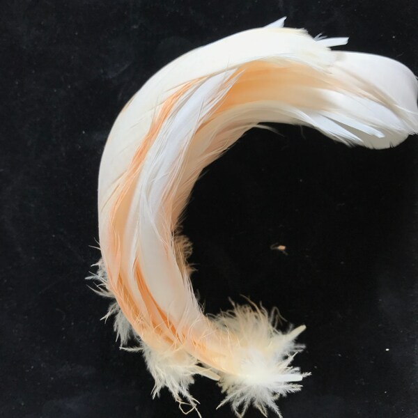 Colorful Feathers - Etsy