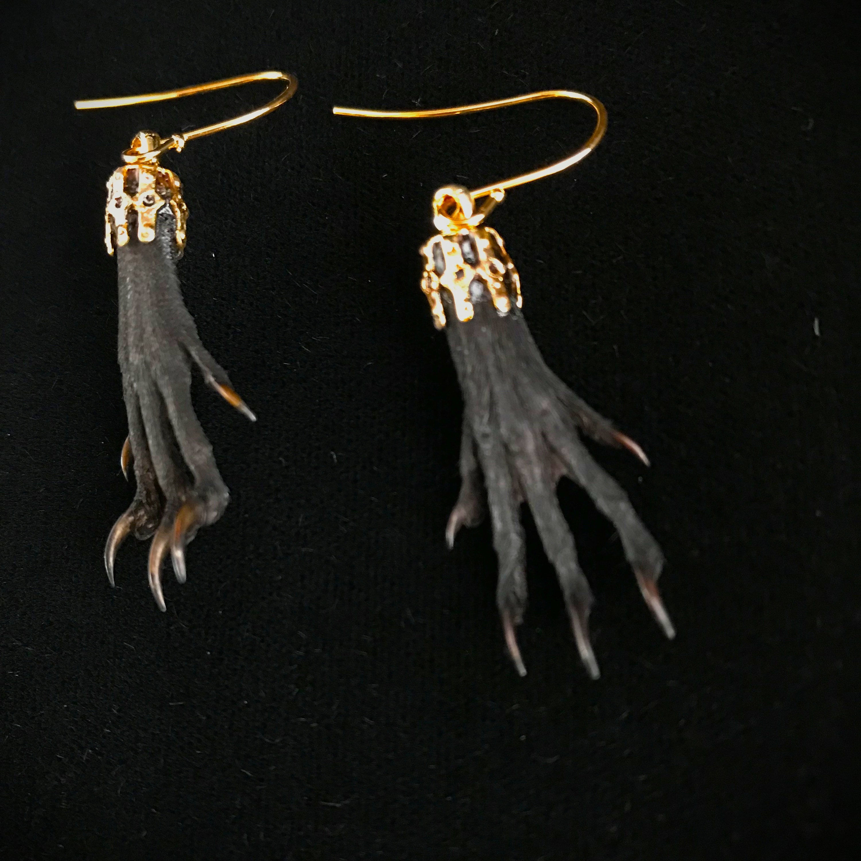 Black Prairie Dog Foot Earrings//squirrel Foot - Etsy