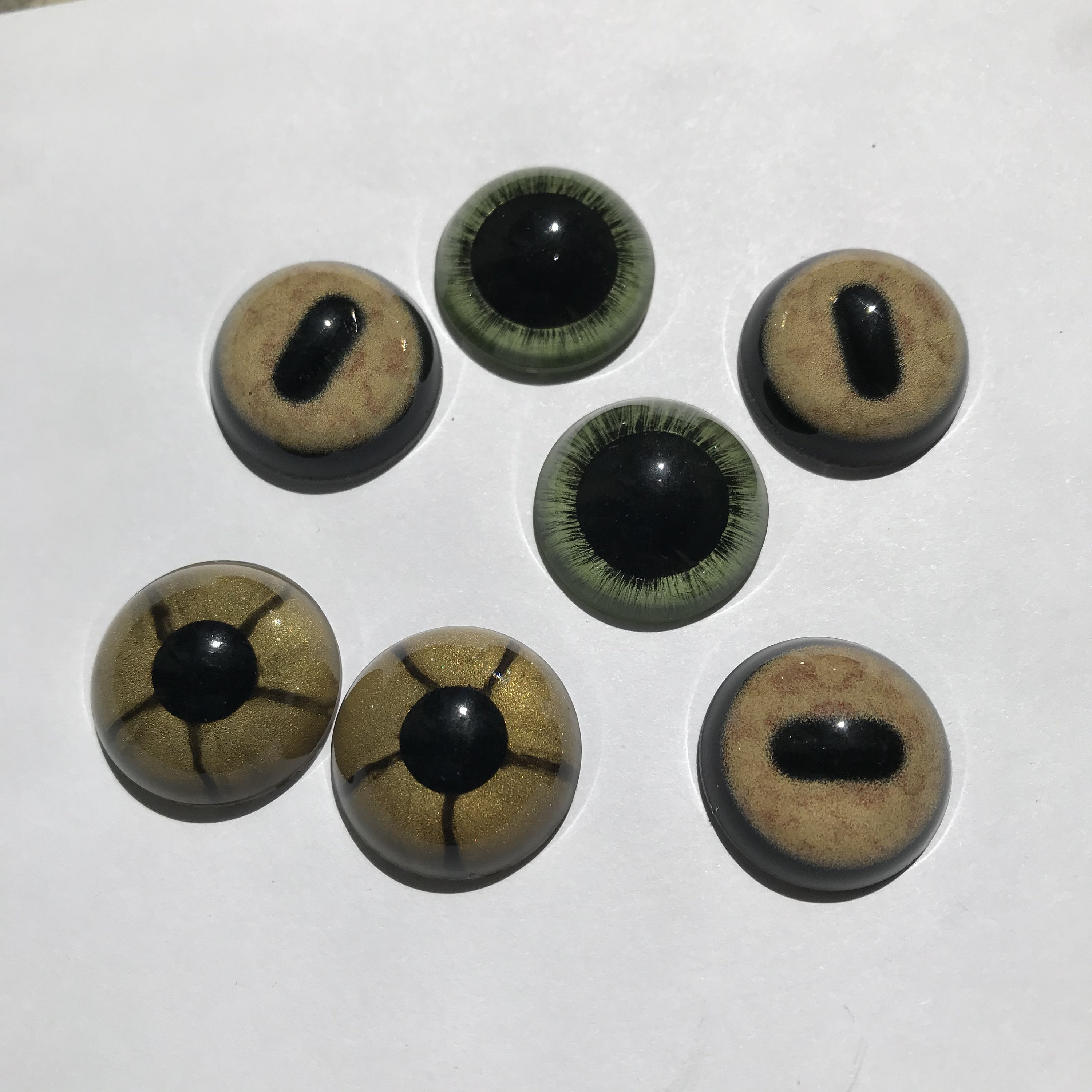 Lot of seven glass taxidermy eyes//24mm glass eyes//taxidermy | Etsy