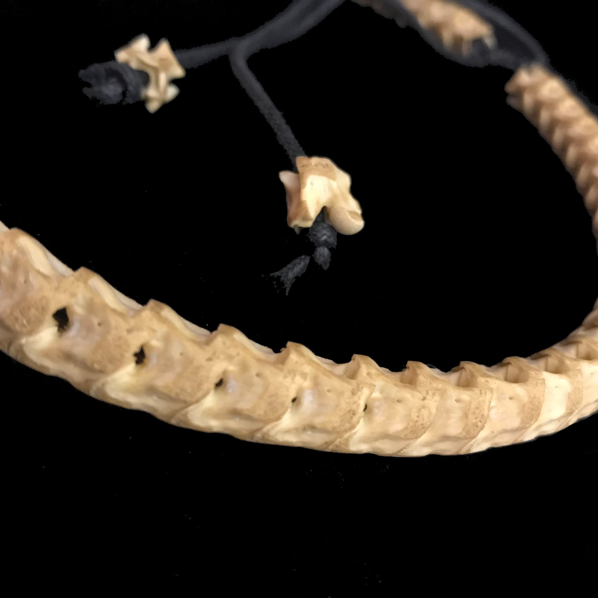 Snake Vertebrae Choker//stained Snake Bone Necklace//adjust, 54% OFF
