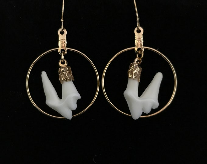 Raccoon Tooth Ring - Etsy