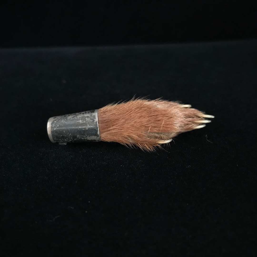 Antique Stoat Paw Brooch//vintage Weasel Paw Brooch//vintage Taxidermy ...