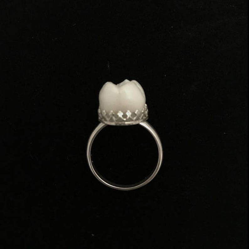 Real Human Tooth Ring//human Molar in Sterling Silver 12mm - Etsy UK