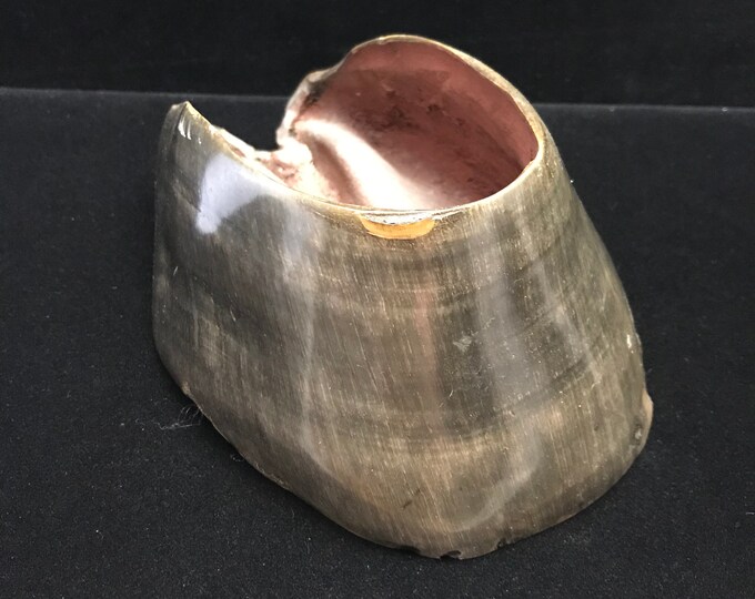 Real Horse Hoof//real Horse Hoof Holder//taxidermy Horse Hoof//real ...