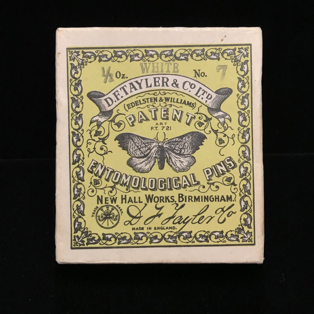 Vintage Entomology Pins//vintage Entomological Pins//c.1900 Vintage ...