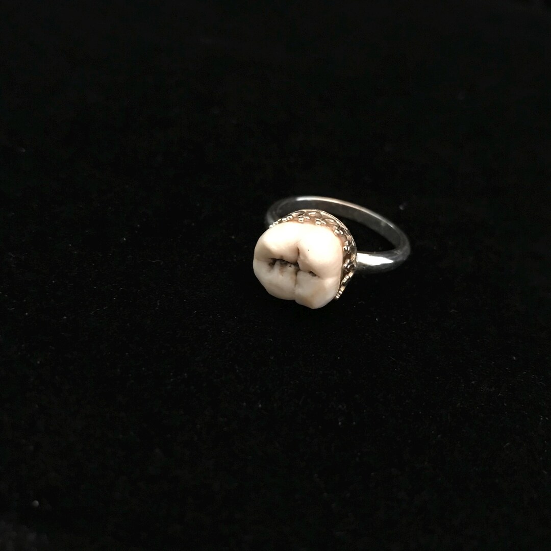Real Human Tooth Molar Ring,size 6//sterling Silver Tooth Ring, Size 6 ...