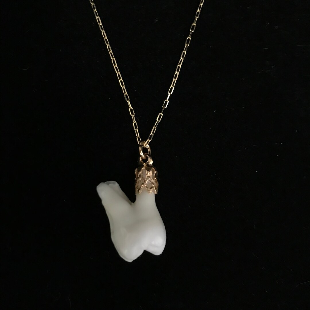 Real Human Tooth Necklace//14k Gold Plated 20" Fine Chain//dainty Tooth ...