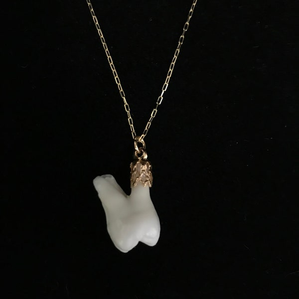 Human Teeth Necklace - Etsy