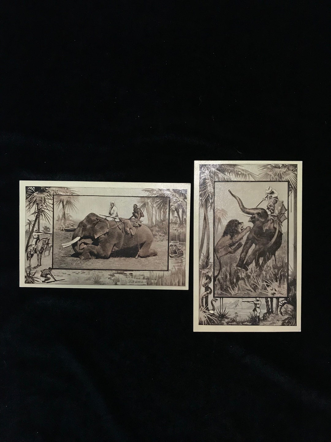 PAIR Vintage Elephant Postcards//african Elephant,indian Elephant ...