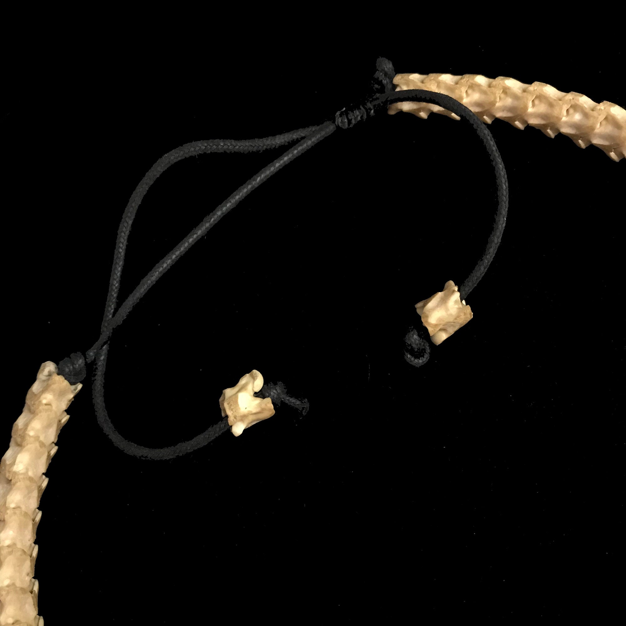 Snake Vertebrae Choker//stained Snake Bone Necklace//adjust, 54% OFF