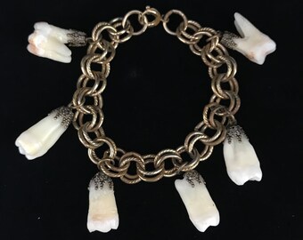 Human Tooth Bracelet - Etsy