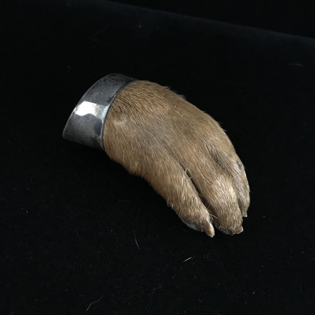 Antique Otter Paw Brooch//1933 Hunting Trophy Brooch//vintage Taxidermy ...