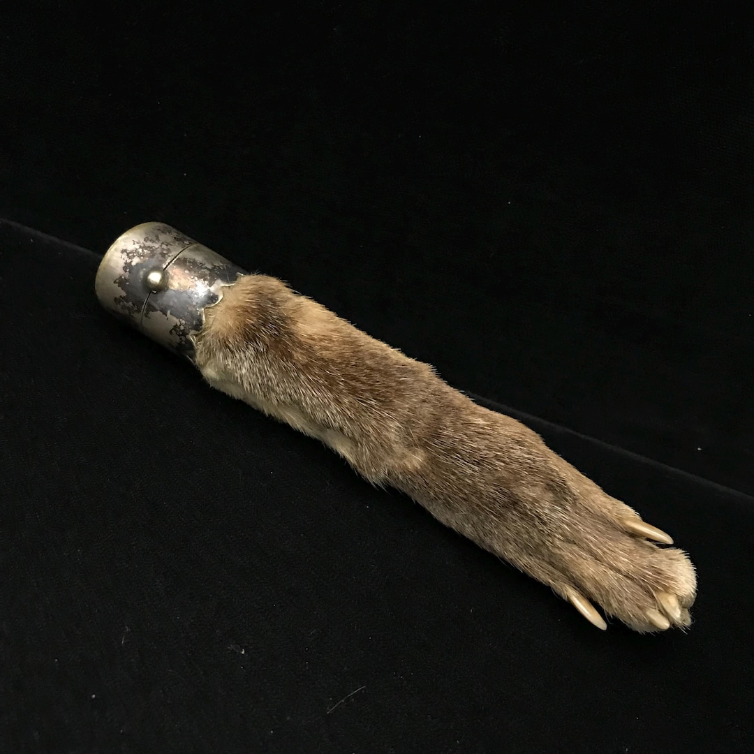 Antique Fox Paw Hunting Trophy//victorian Hunting Trophy Fox Foot ...