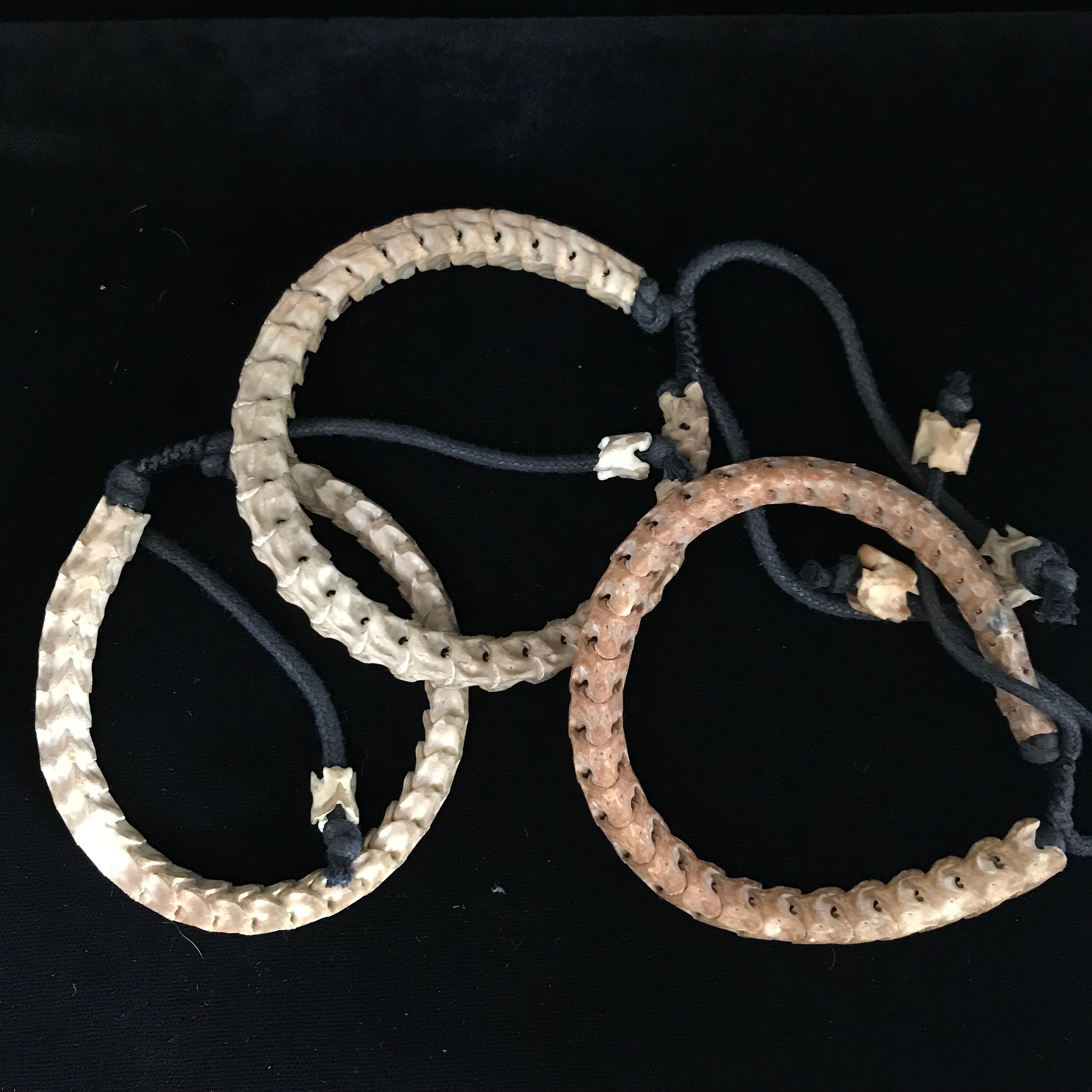 Snake Vertebrae Choker//stained Snake Bone Necklace//adjust, 54% OFF