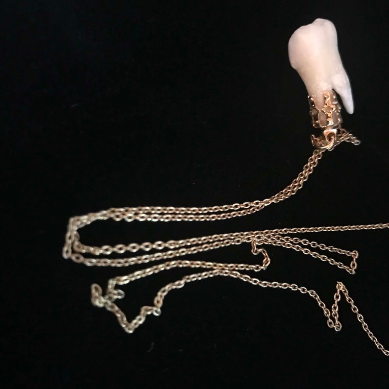 Real Human Molar Tooth Necklace//12k Gold 24fine Cable | Etsy