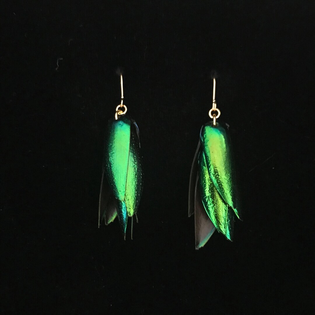 Real Beetle Elytra on GOLD French Hook Earrings // Iridescent Green ...