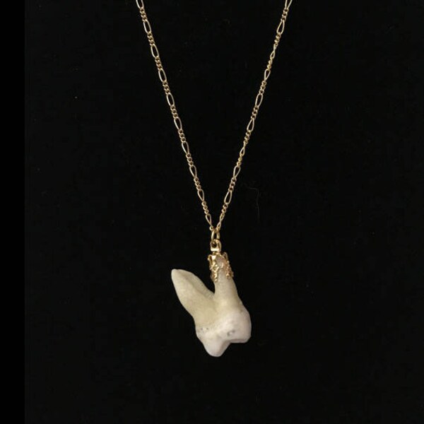 Human Teeth Jewelry - Etsy Australia
