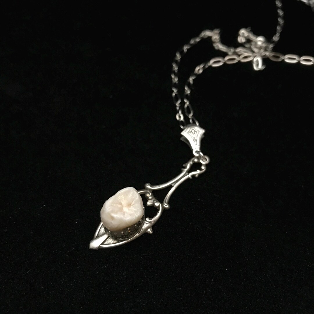 Real Human Tooth Necklace//silver Human Molar Tooth Necklace//human ...