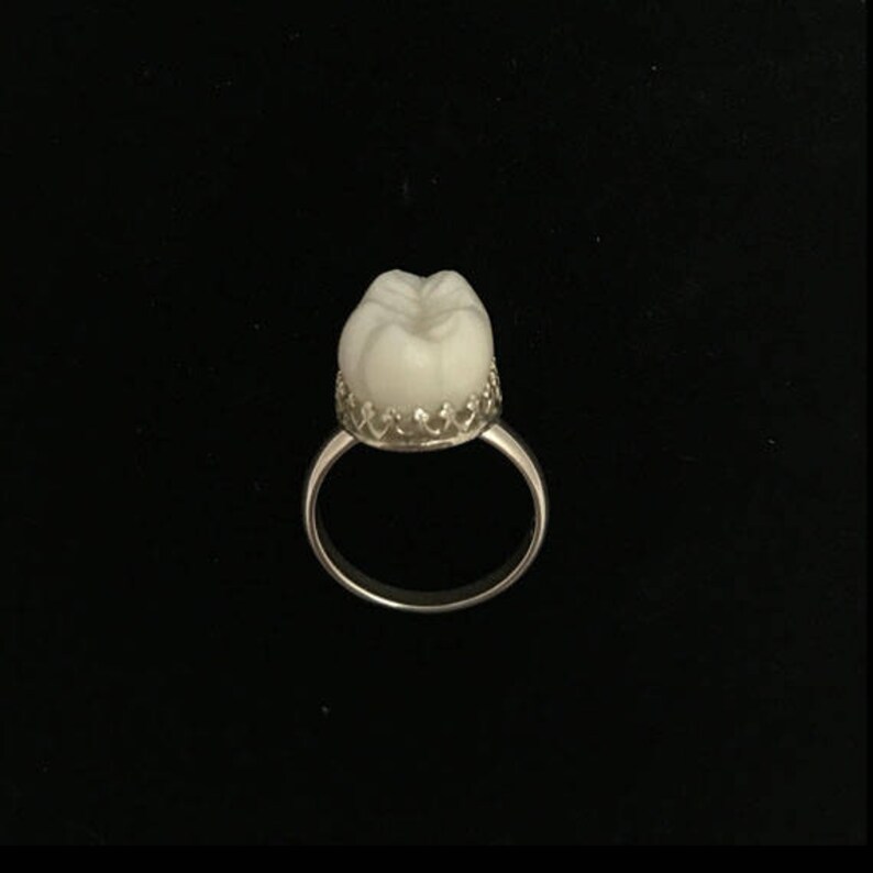 Real Human Tooth Ring//human Molar in Sterling Silver 12mm - Etsy UK