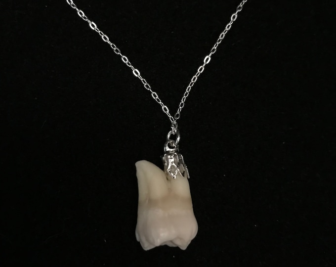 Real Human Molar Tooth on Sterling Silver 20" Chain//dainty Tooth ...