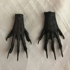 Dyed Black Squirrel Feet: Taxidermy Claw Parts, Raw Material (pair) - Etsy