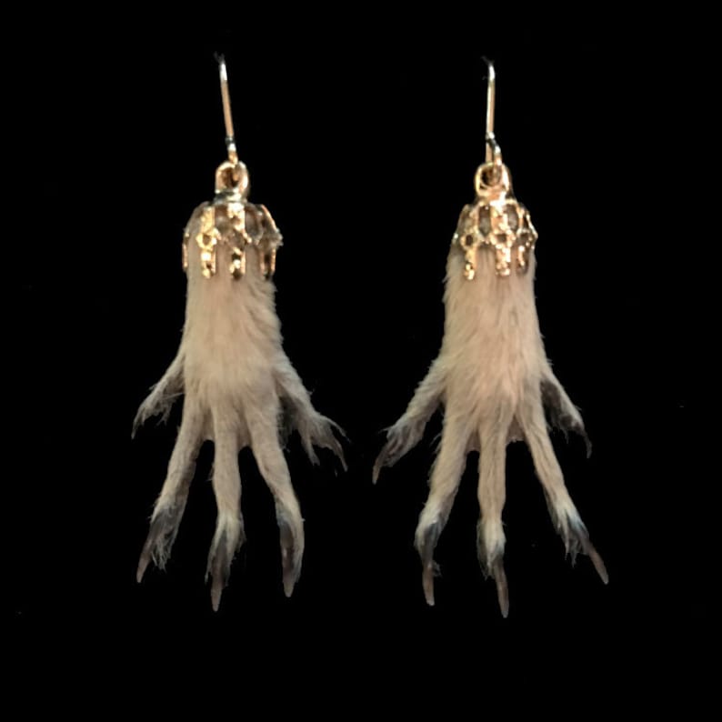 Pair Natural Prairie Dog Foot Earrings/squirrel Foot - Etsy