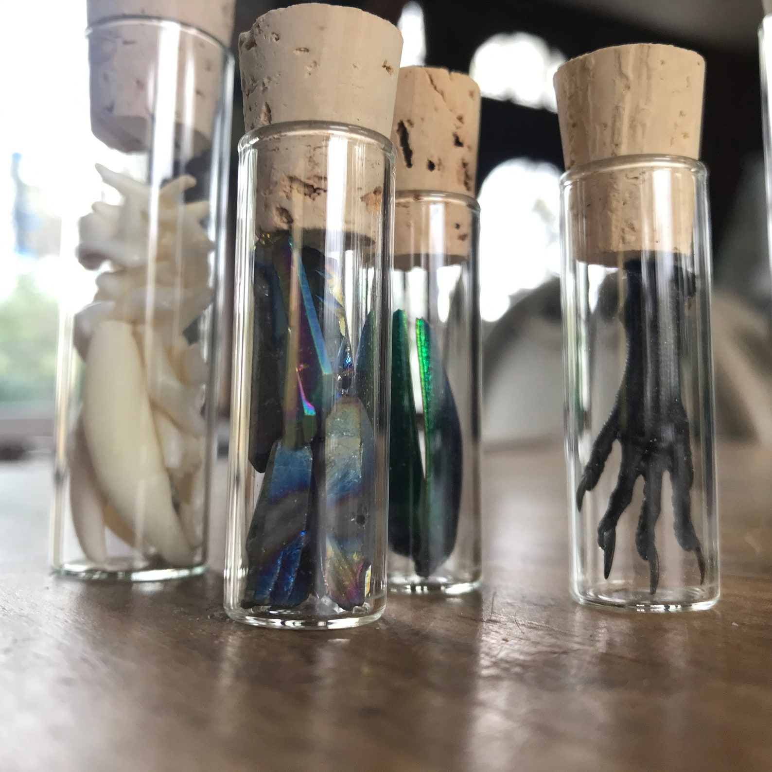 5 Corked Vial Natural History Collection//butterfly - Etsy