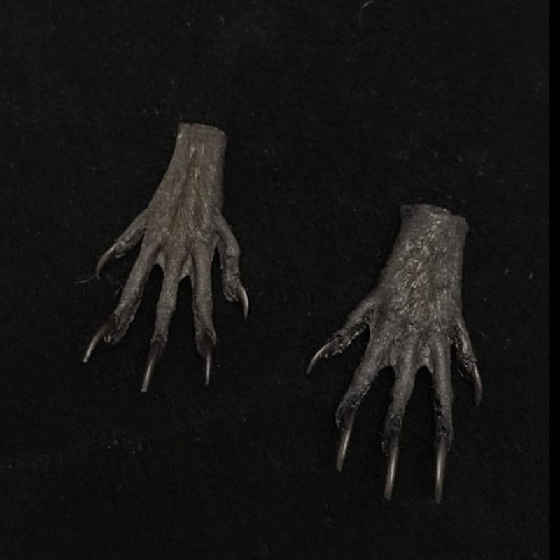 Taxidermied Rat Feet - Etsy