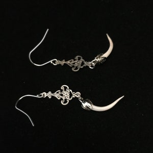Real Rattlesnake Fang Earrings//rattlesnake Tooth Earrings//rattlesnake ...