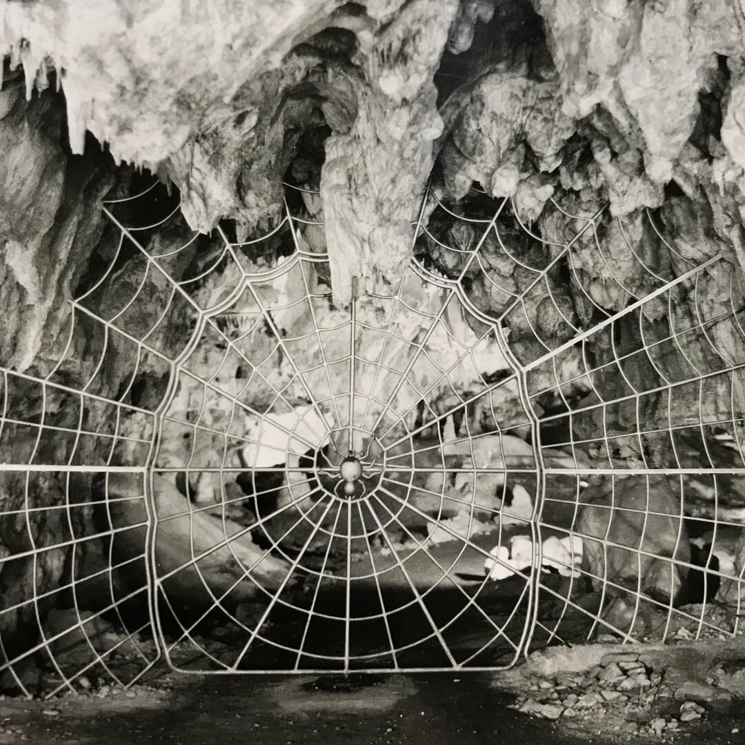 Vintage Real Photo Spider Web//crystal Cave Spider Web Gate Postcard ...