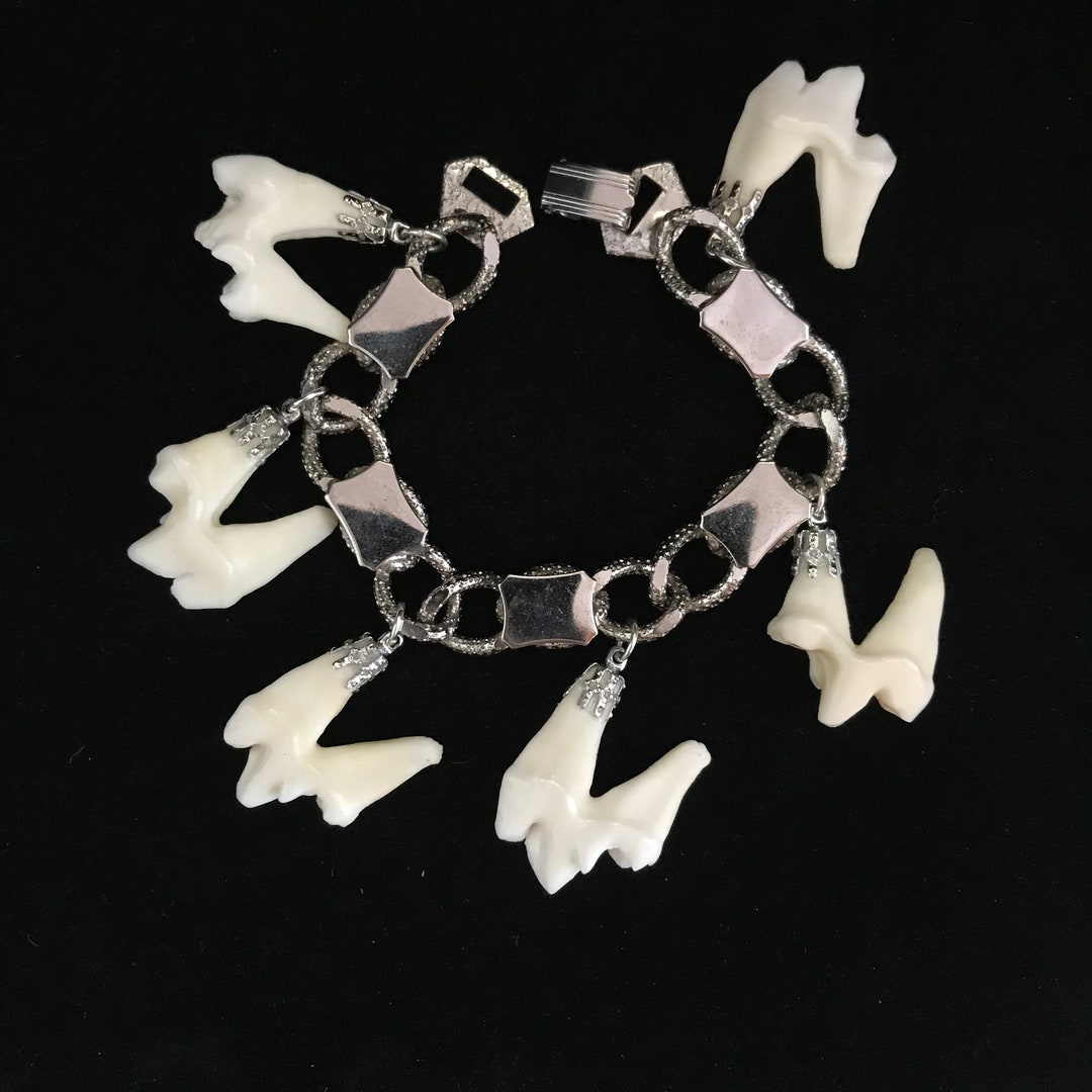Vintage Silver Chain,real Coyote Teeth Charm Bracelet//amulet Bracelet ...